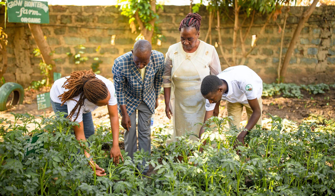 Helping farmers through the worst drought in 40 years - Norec